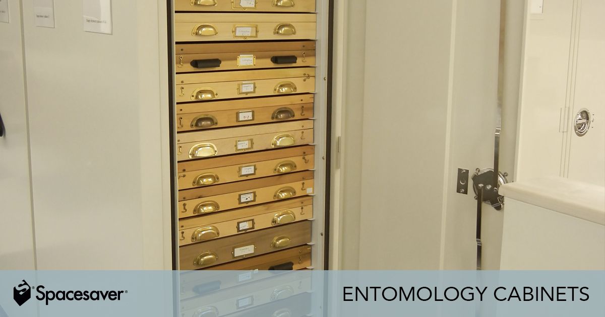 Entomology Cabinets | Spacesaver Museum Cabinets