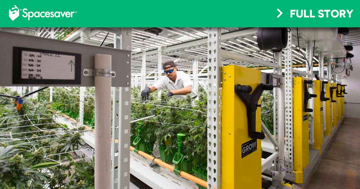 Commercial Grow Room Setup | Spacesaver Case Study