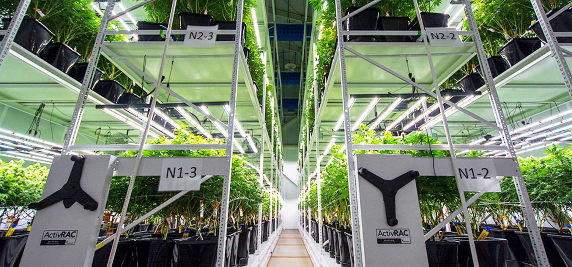 Commercial Grow Room Setup | Spacesaver Case Study