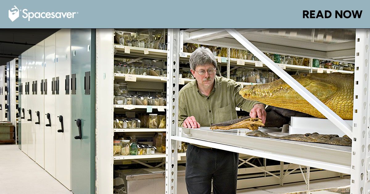 Mitigate Deterioration | Museum Collection Care Best Practices